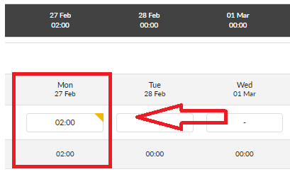 Timesheet Overview – Getting Started – nTask Support
